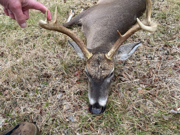 Whitetail Deer Hunting Adventures at White Oak Falls, Tennessee